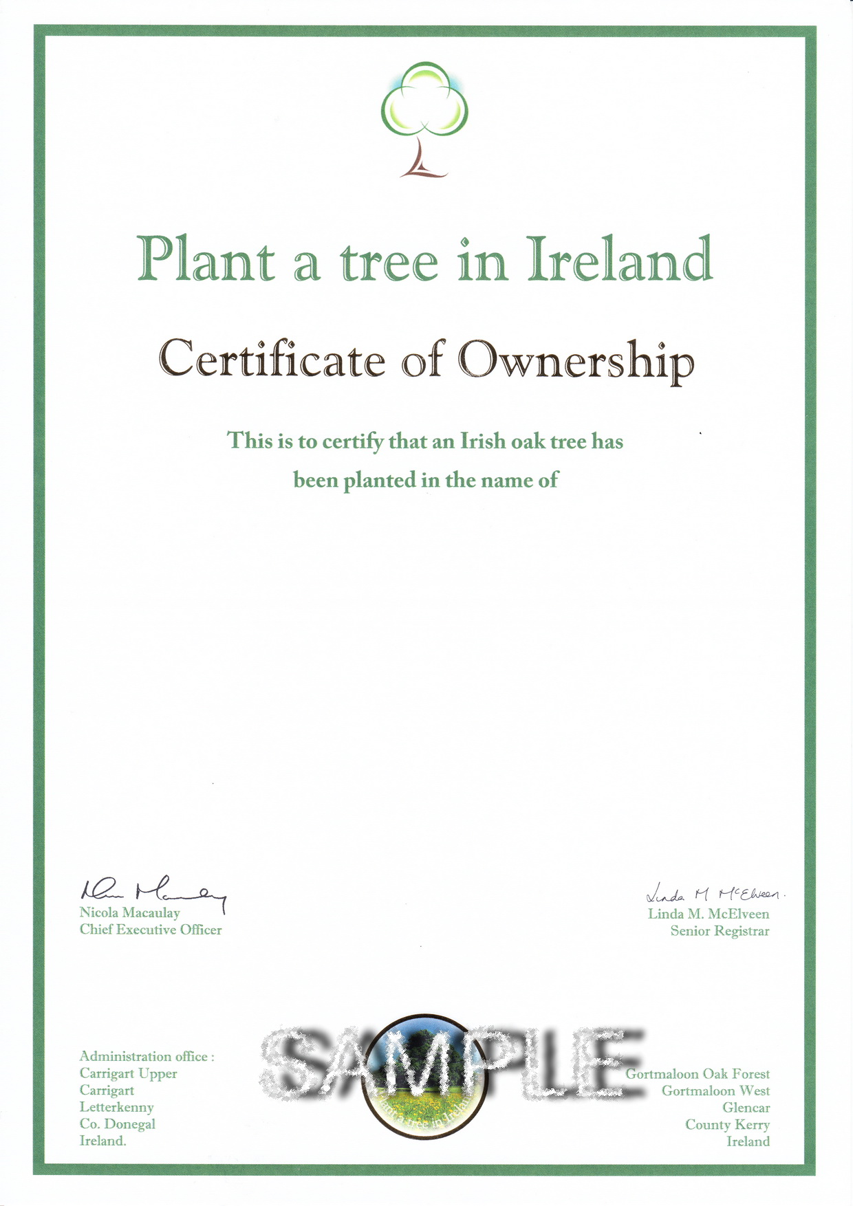 Plant a tree in Ireland.